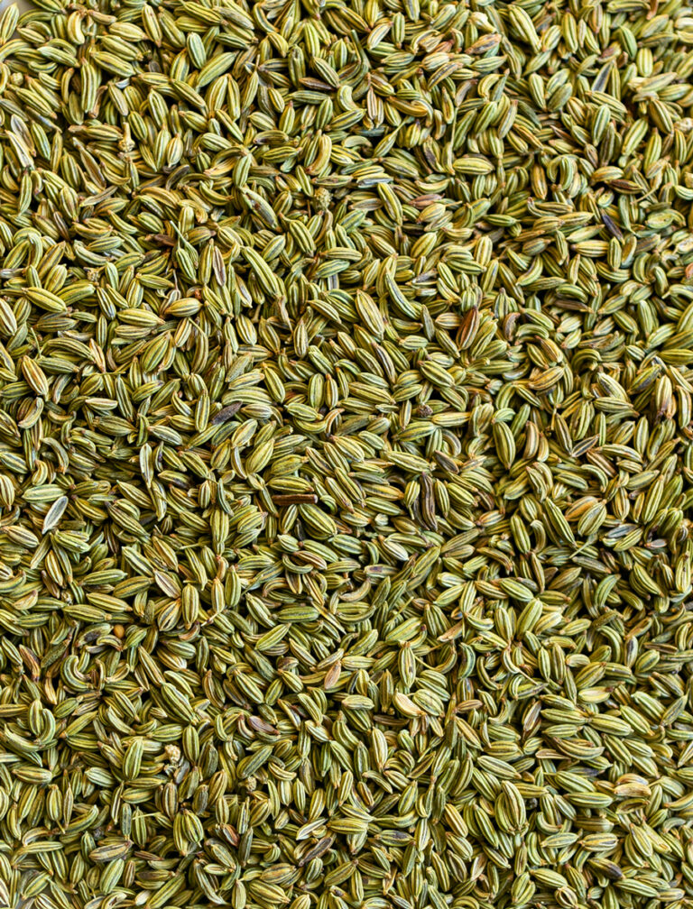Fennel Seeds - What are they and how to use them in cooking